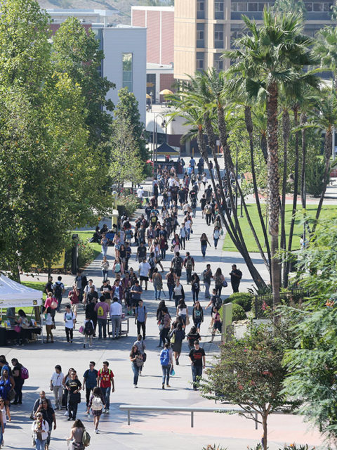 Financial Support | Discover Cal State LA